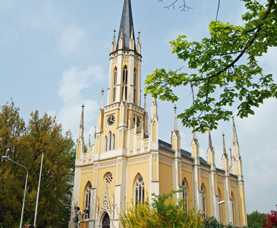 Erbach ⋆ Rheingau - die Weinregion