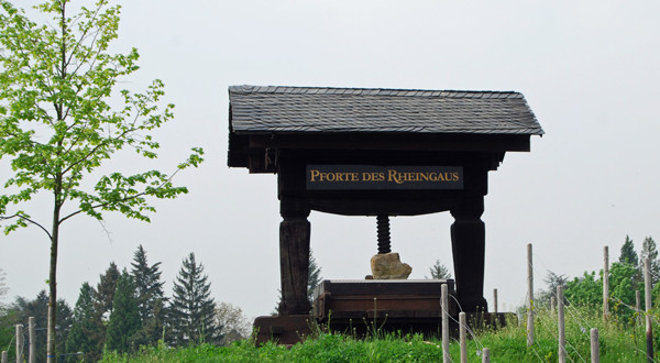 Walluf ⋆ Rheingau - die Weinregion